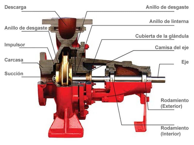 Bombas End Suction – ASB Technologies